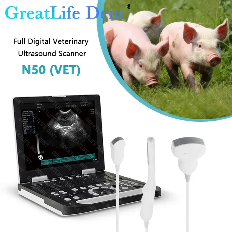 Greatlife Dent 15 Inch Veterinary Human Portable Medical Echo Laptop ...
