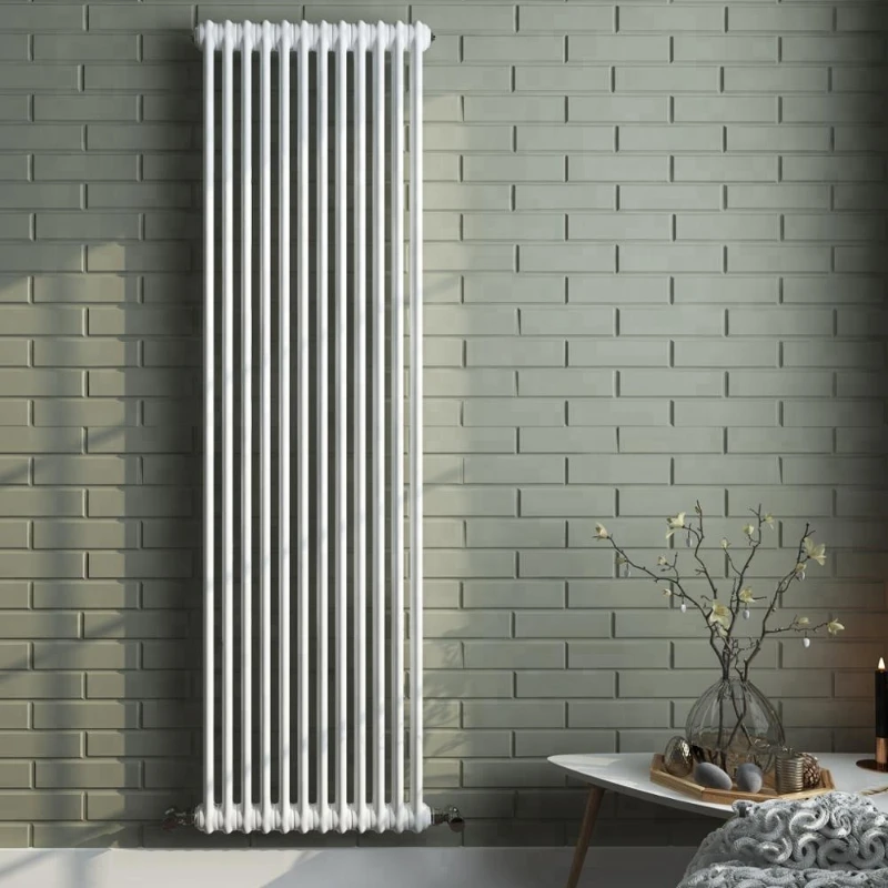 R7-cast-iron-style-double-column-designer-radiator-hot-water-radiator ...