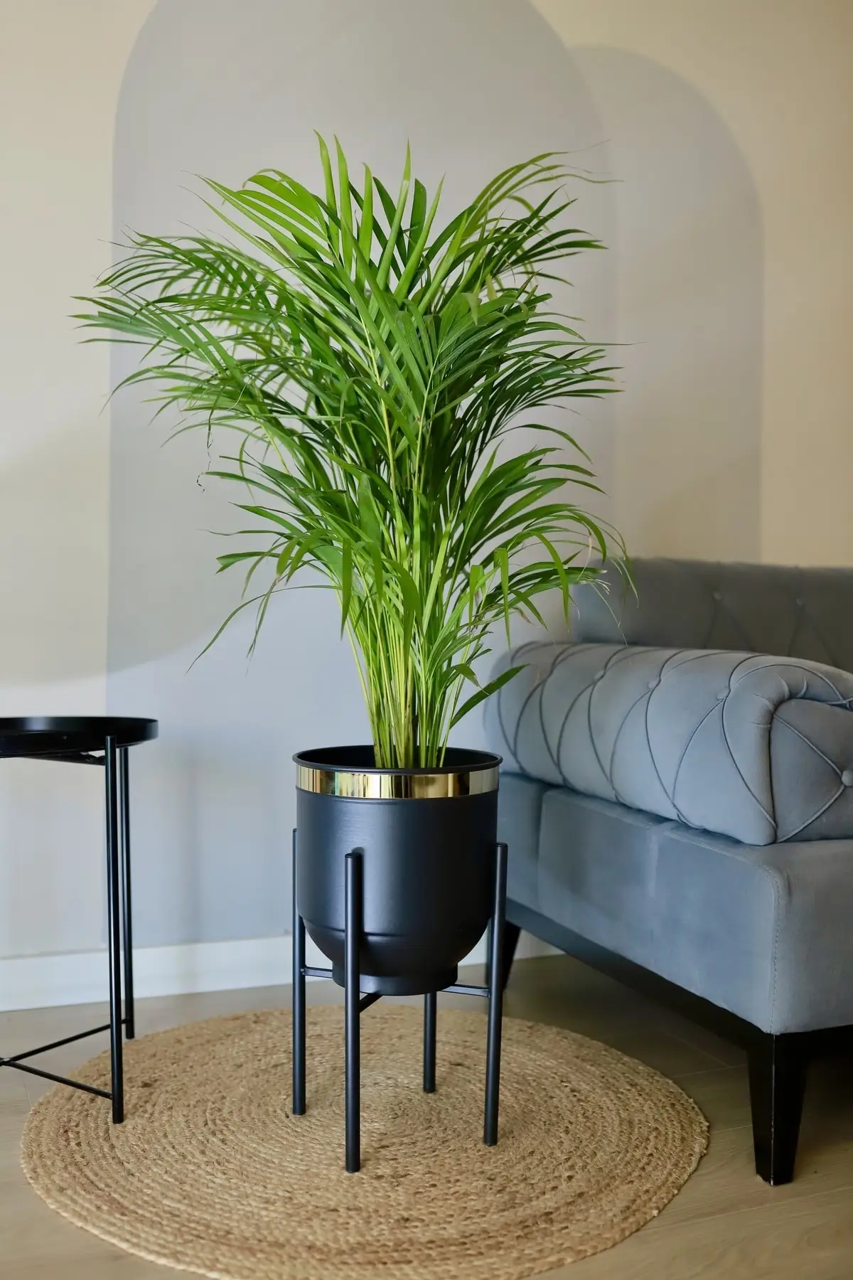 Planting-Bag-Modern-Large-Size-Flower-Pot-Black-Eco-friendly-Darbuka ...