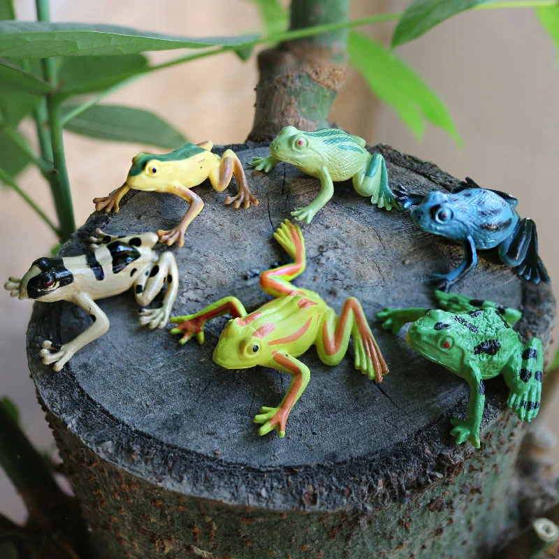 12pcs-Mini-Frogs-1-Grass-and-1-stone-Toy-Set-Small-Realistic-Frog-Toy ...