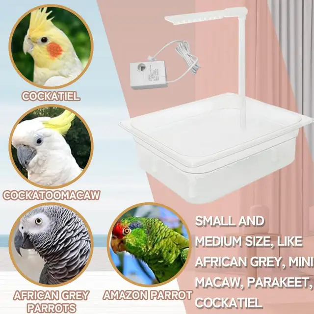 Parrot Bath Automatic Parrot Shower – Cute Bird Bath With Faucet ...
