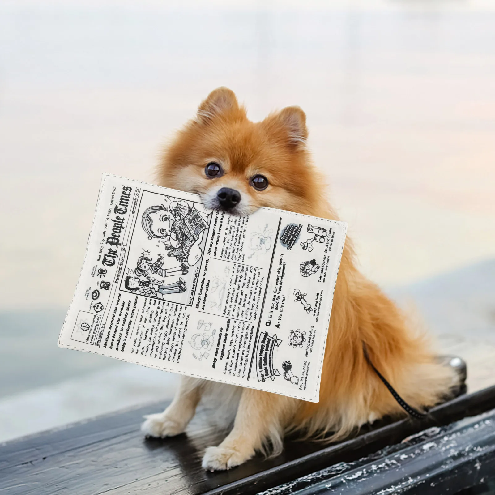 Puppy Newspaper
