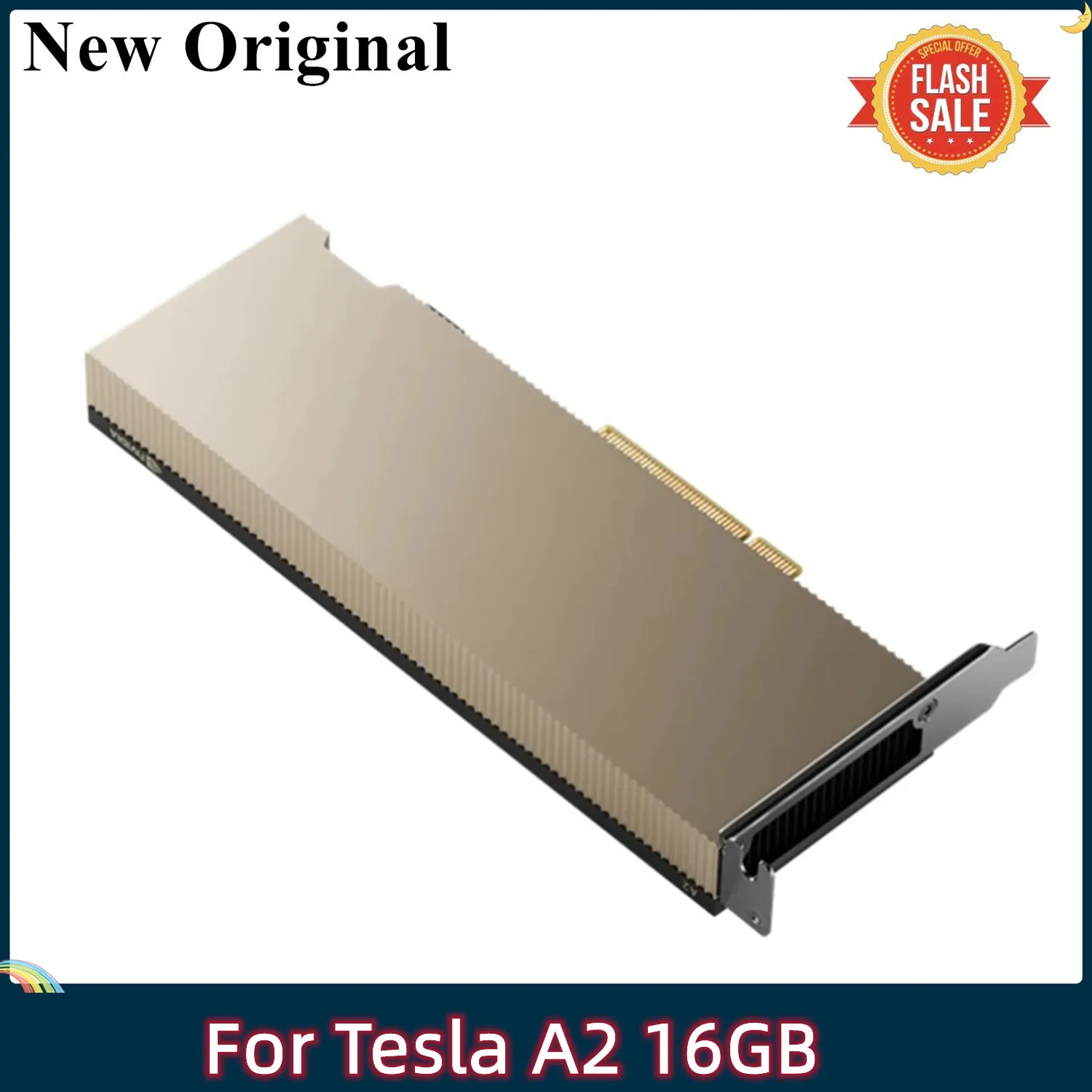 New Original For NVIDIA Tesla A2 16GB GPU Low Profile AI Inference Deep ...