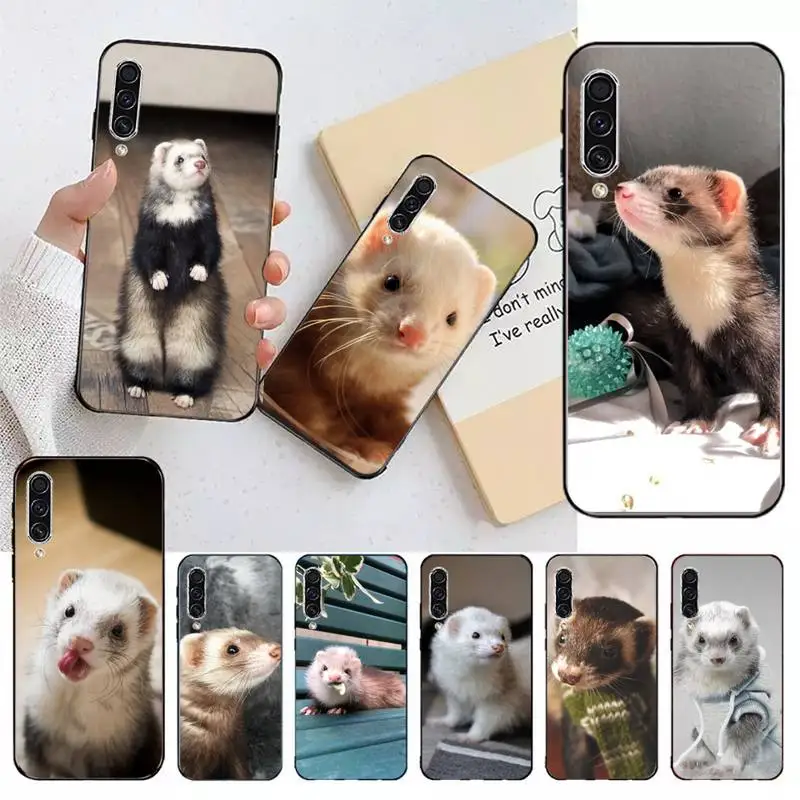 Ferret-cute-animal-Phone-Case-For-Samsung-galaxy-A-S-note-23-53-22-20 ...