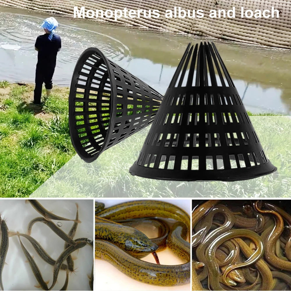 1Pcs-Tapered-Inlet-Eel-Loach-Eel-Octopus-Crab-Trap-Entrance-Plastic ...