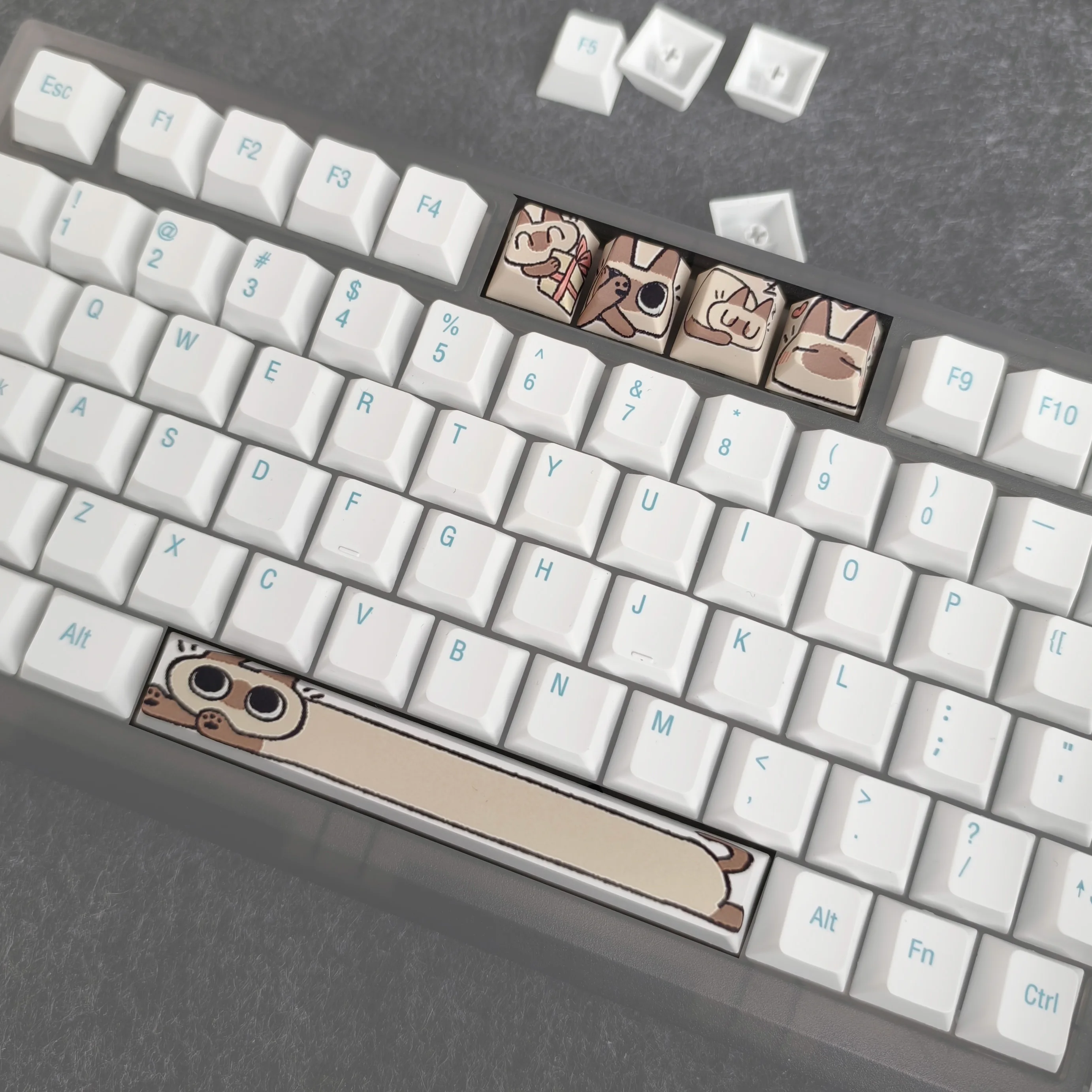 5pc-Siamese-Cat-keycaps-and-6-25U-Spacebar-5-sides-Dye-PBT-Cherry ...