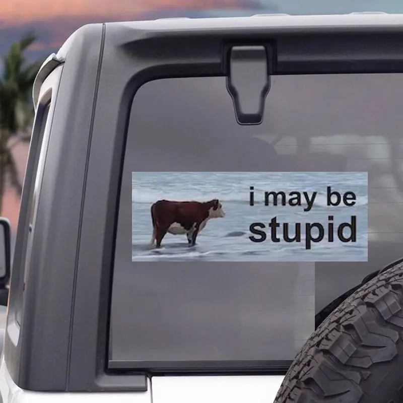 I-May-Be-Stupid-Joke-Car-Stickers-Funny-Bumper-Sticker-For-Window ...