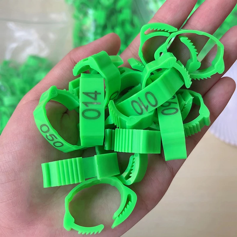 50PCS-Ratchet-Clip-Digital-Duck-Pigeon-Goose-Farm-Feed-Tool-Chicken ...