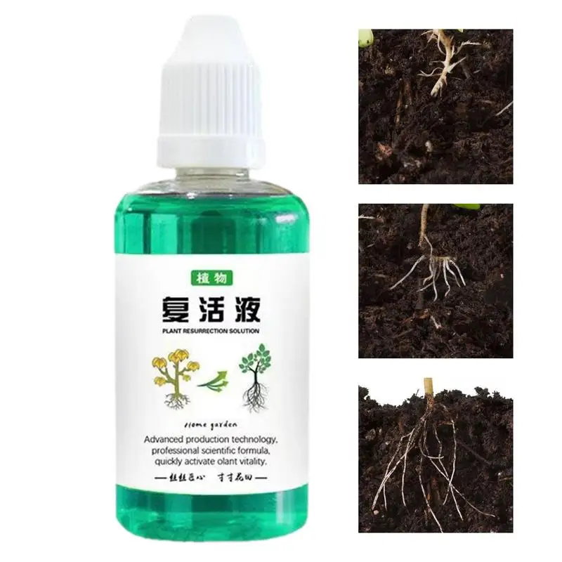 Root-Stimulator-for-Plants-30ml-Plant-Growth-Enhancer-Succulent-Root ...