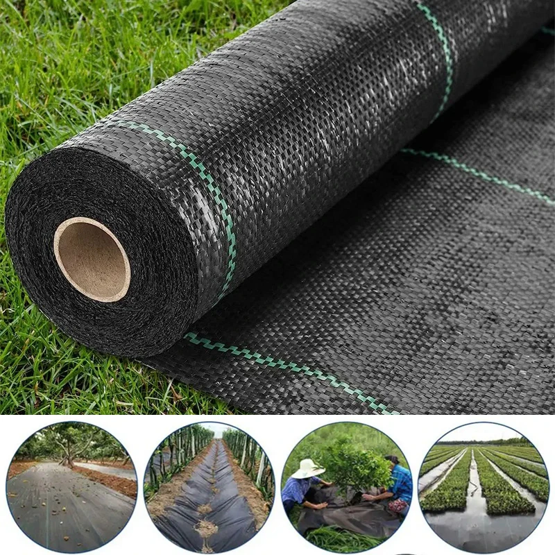 Sa76a929313f9498ba3f7e7797be55533X.jpg