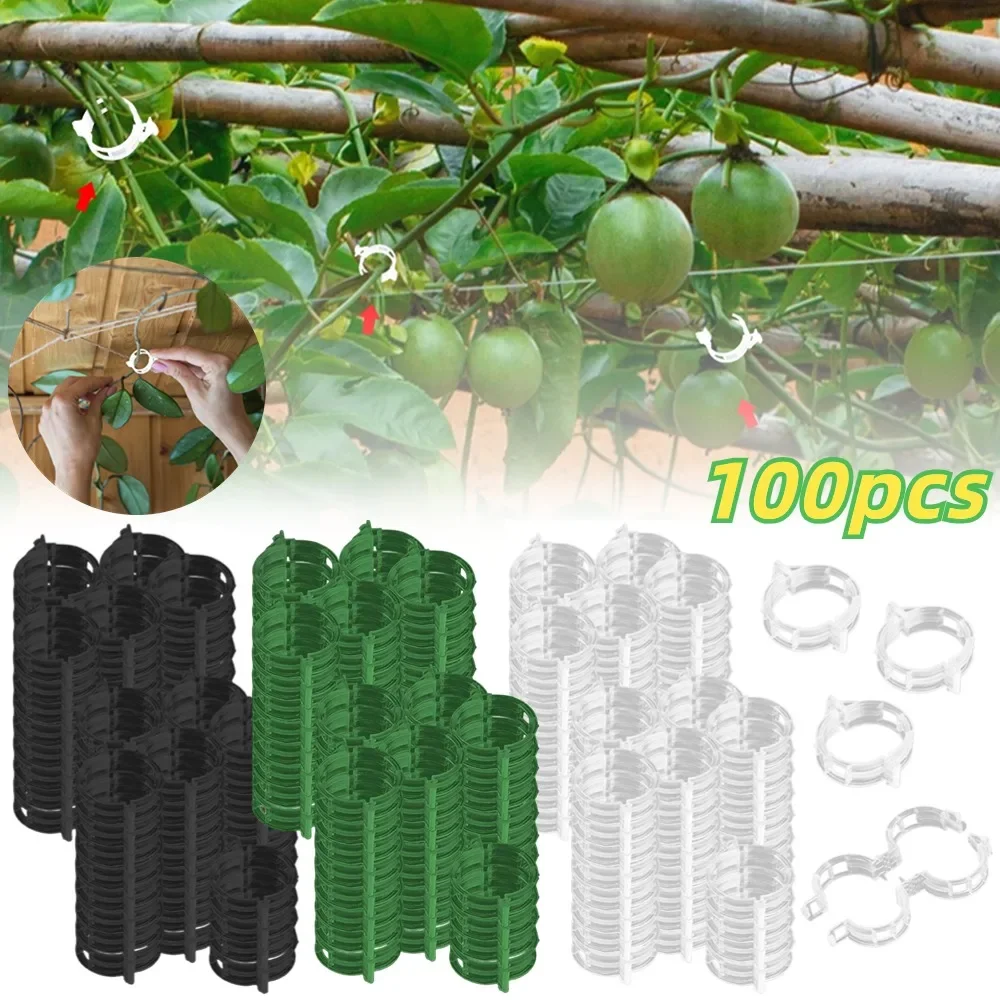 100PCS-Plant-Support-Clips-Plastic-Ties-Stake-Clips-Garden-Vegetable ...