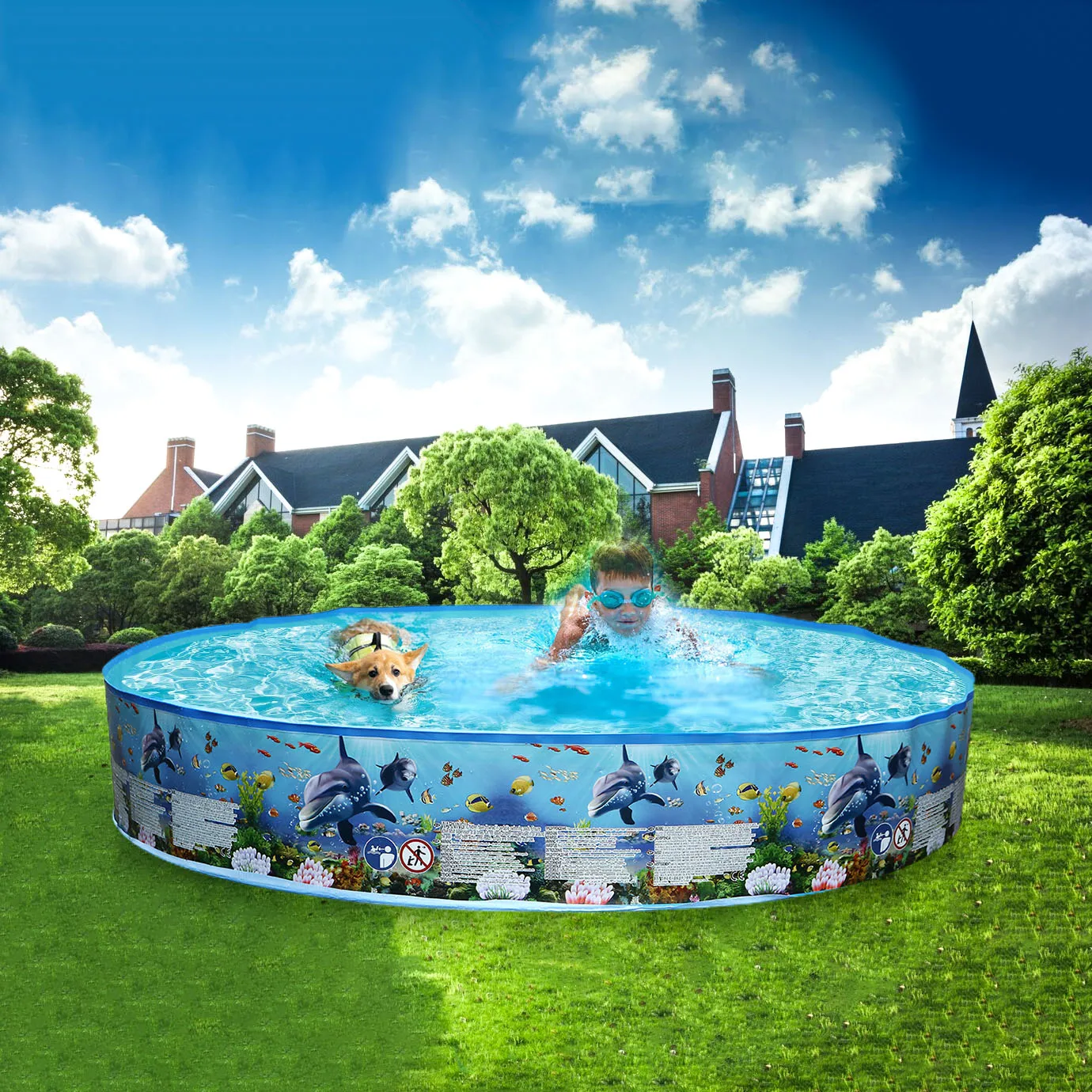 Store Home Products Feedback