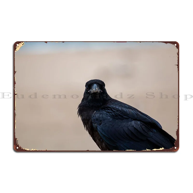 Curious-Crow-Gazing-At-You-Metal-Sign-Wall-Cave-Bar-Cave-Bar-Customized ...