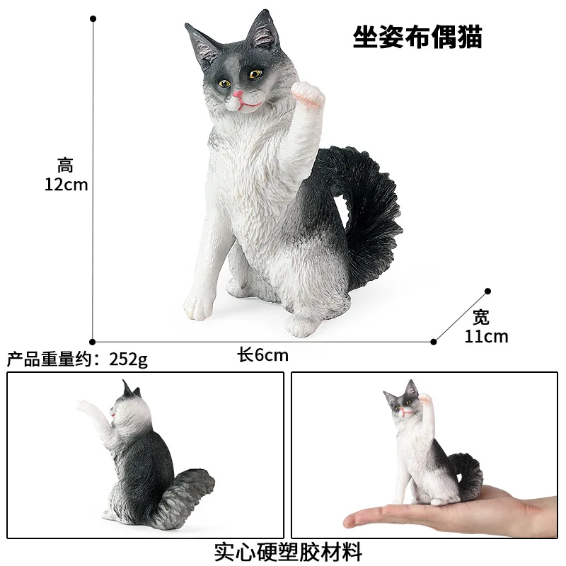 Solid Black Ragdoll Cat