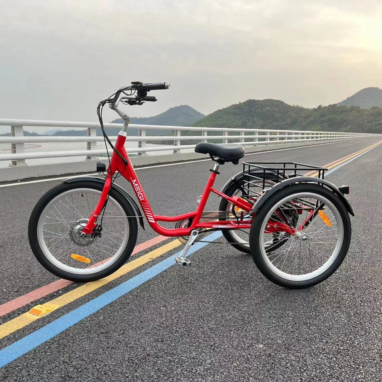 DWMEIGI-Adult-Electric-Tricycles-3-Wheel-Electric-Bike-with-24-Inch ...