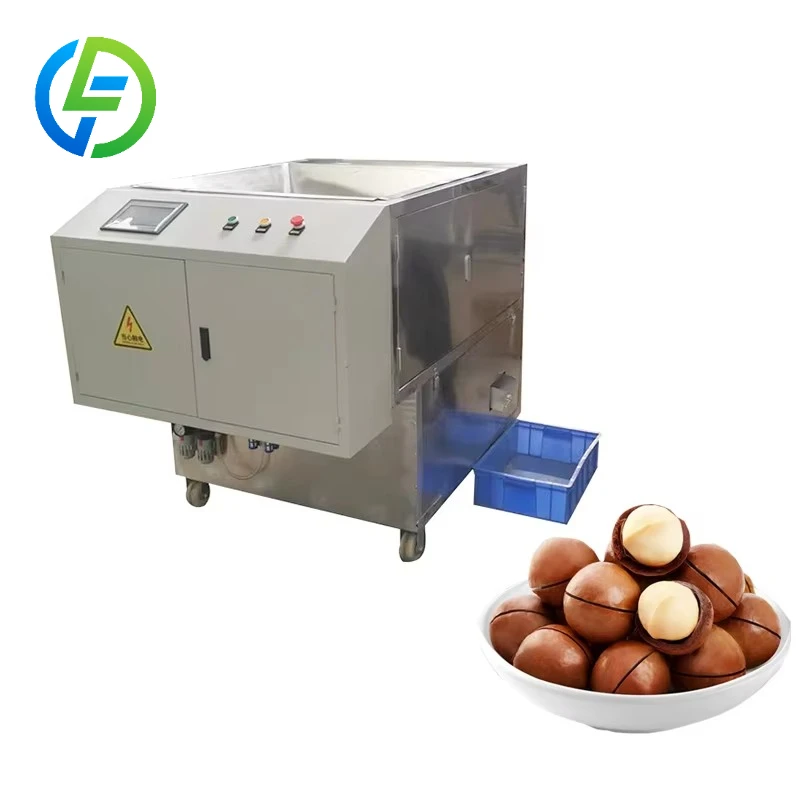 High Quality Macadamia Nuts in Shell Cutting Machine Macadamia Nuts ...