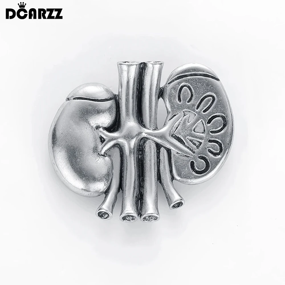 DCARZZ-Kidney-Anatomy-Pin-Medical-Gift-Doctor-Vintage-Pins-Metal-Trendy ...