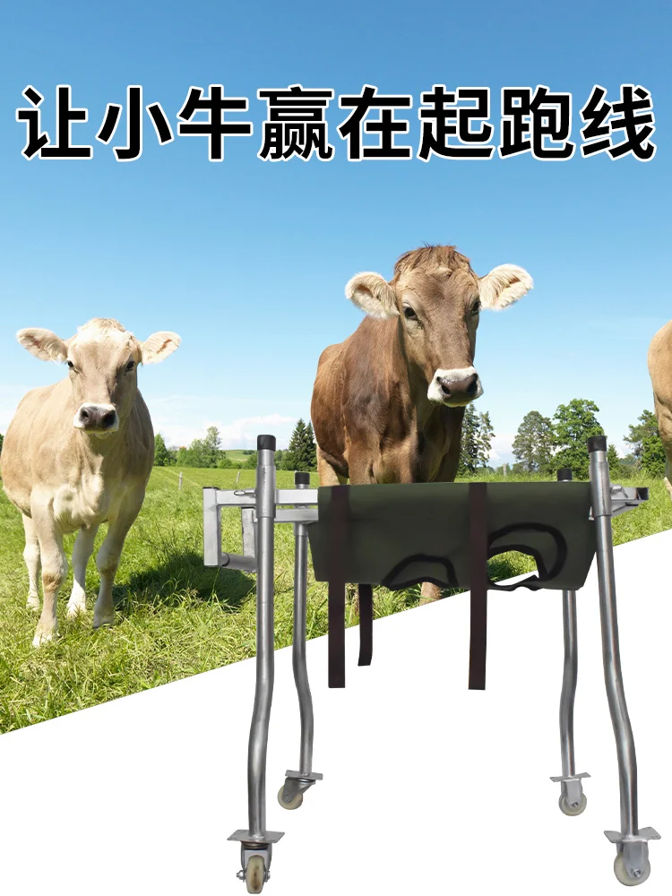 Reinforce-Calf-Walker-Calves-Rehabilitation-Trucks-Calves-Standing ...