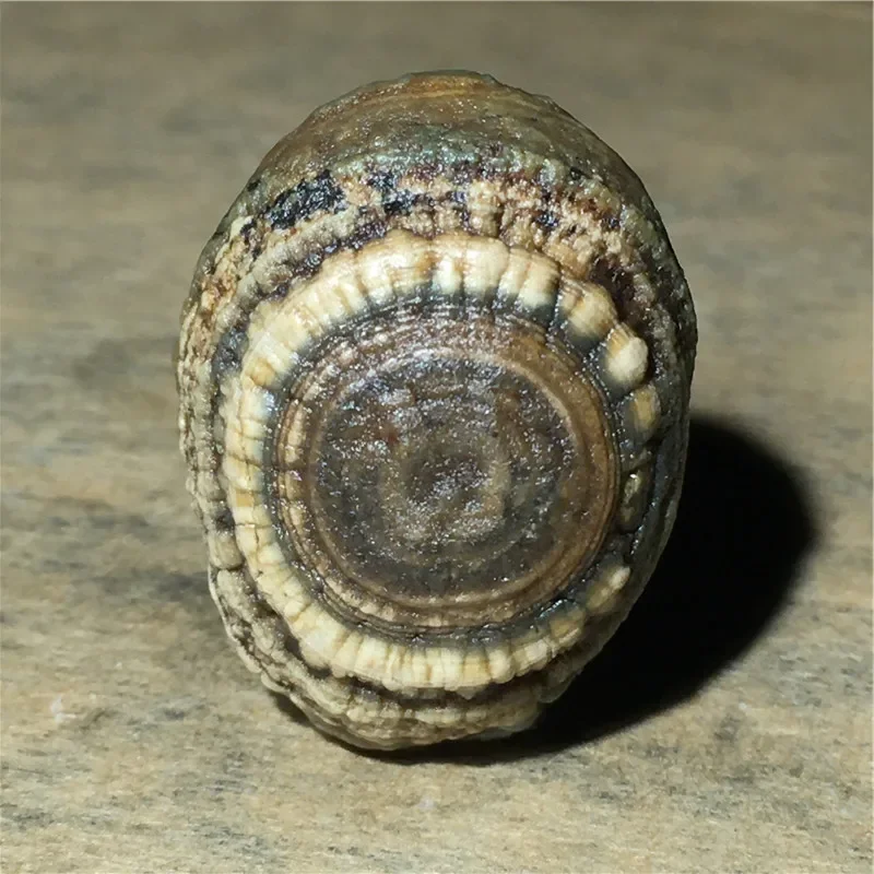 Boutique-Surface-Mongolian-Natural-Beauty-Agate-Eye-Stone-Shape-Alashan ...