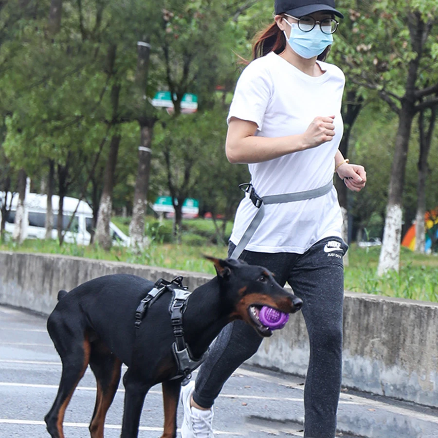 Elastic-buffering-explosion-proof-flushing-multifunctional-dog-walking ...