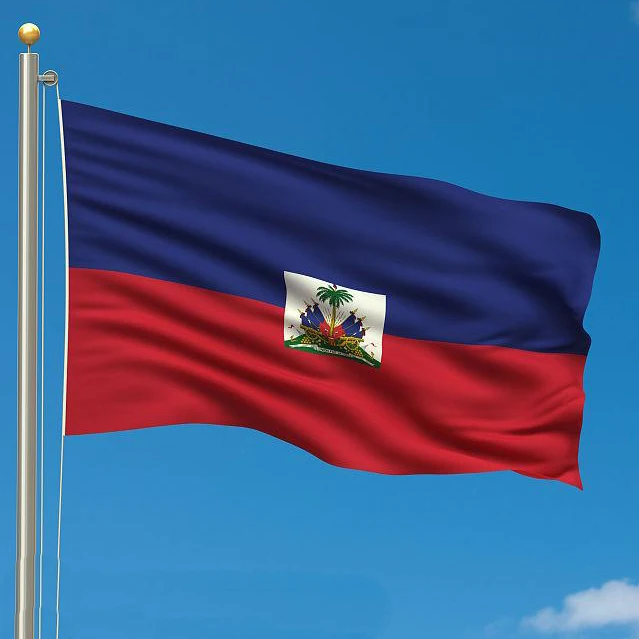 Bandera-de-Haiti-de-poli-ster-para-colgar-2-lados-impresa-de-bandera ...