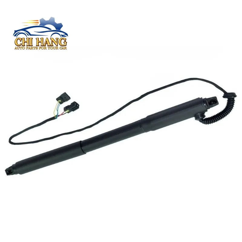 OEM 51247332695 Rear Left Spindle Drive Gas Strut Spring for BMW X5 E70 ...