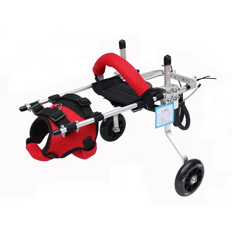Cat Wheelchair Cat Hind Leg Disability Walker Pet Paralysis Assisted ...