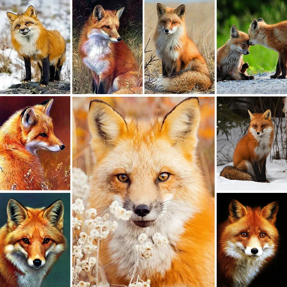 Animal Fox Paint By Numbers Package Acrylic Paints 40*50 Boards Home Decoration For Adults ...