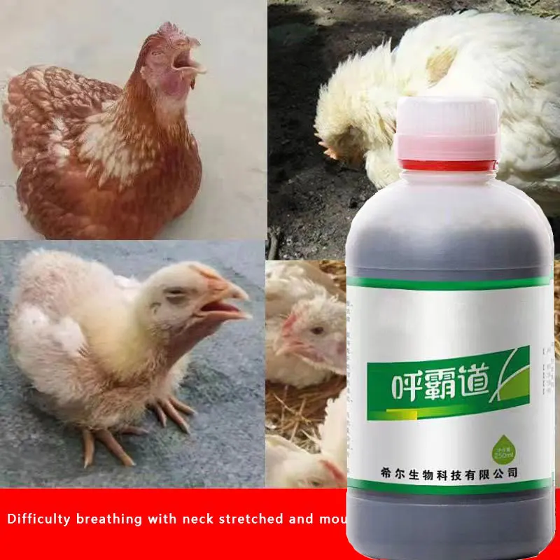 Duck, Goose, Chicken, Pig, Cow, Respiration, Cough, Phlegm, Bronchitis ...