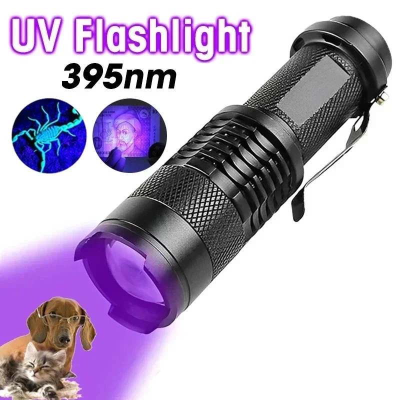 UV-LED-395nm.jpg