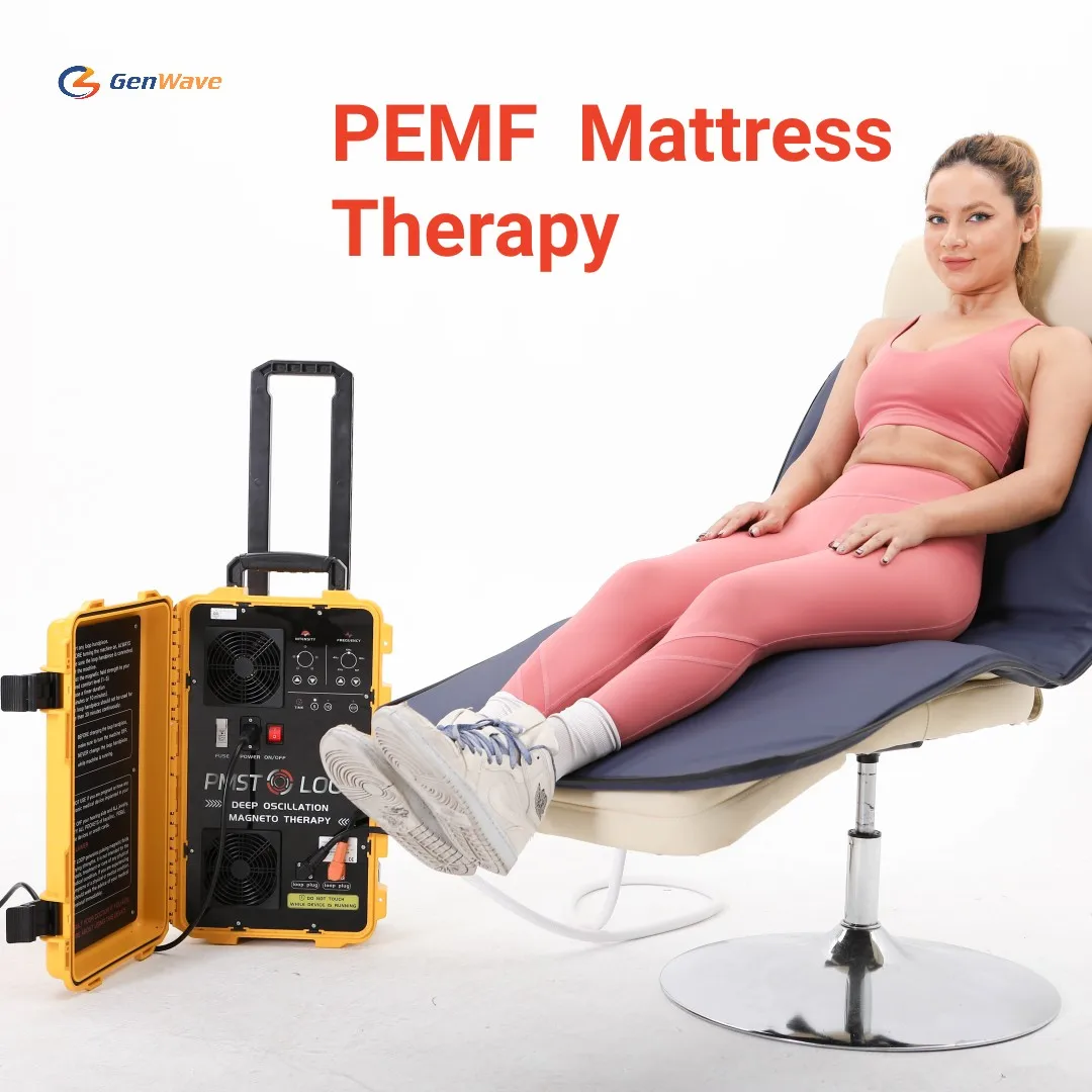 PEMF-Electro-Magnetic-Mat-Therapy-Physio-Magneto-Wave-for-Helps-Balance ...