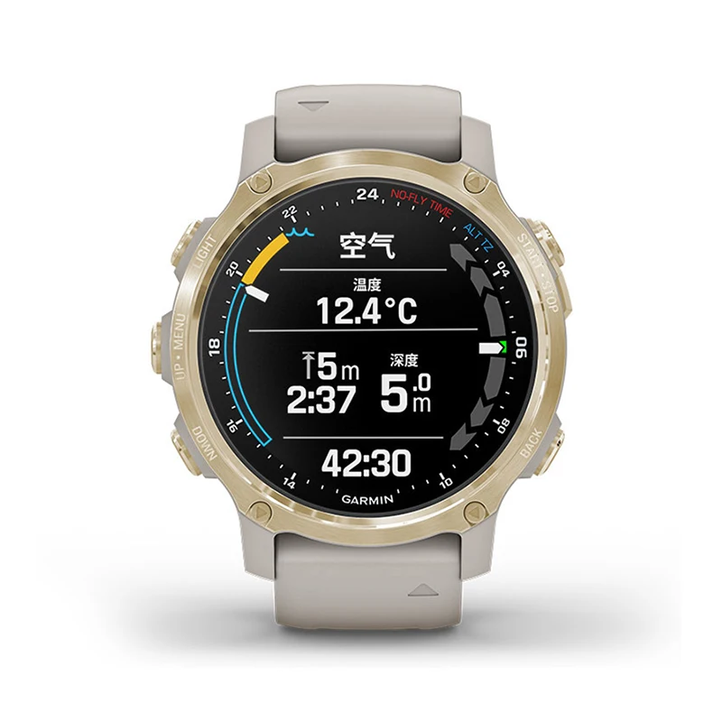 Garmin-Descida-Professional-Computer-Watch-Mergulho-Assistir-Esportes ...