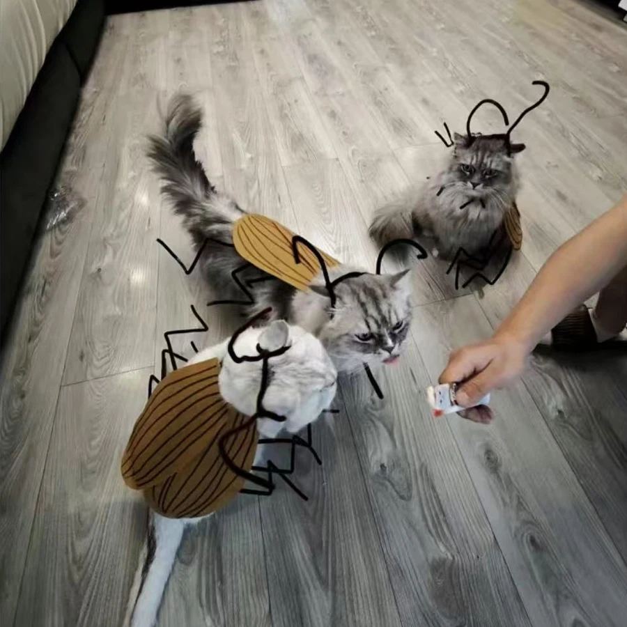 Cat Cockroach Clothing Handmade DIY Wrapped In The Temptation Of ...