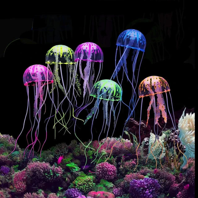 Home Jellyfish Aquarium
