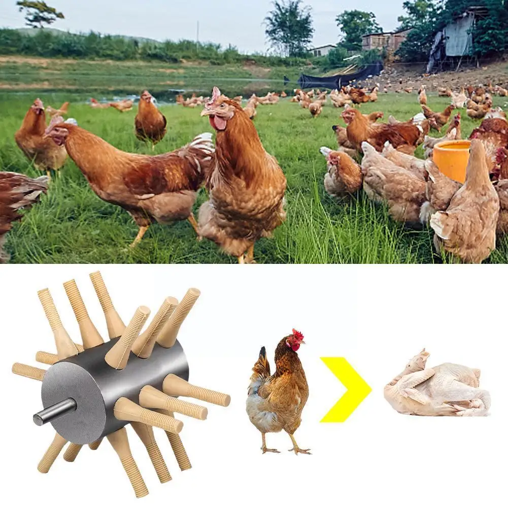 Chicken-Feather-Plucker-Machine-Poultry-Debeater-Chicken-Duck-Feather ...
