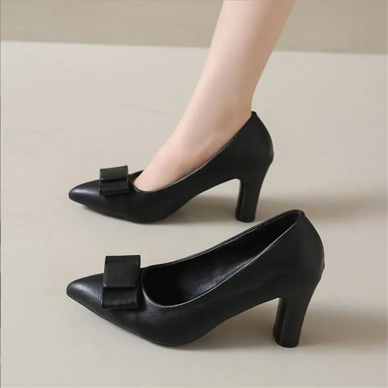 2025 Spring New Korean Style Internet Celebrity French High Heels Thick ...