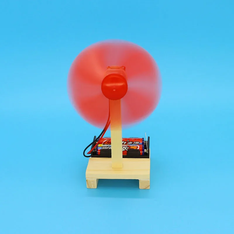 DIY-Elementary-School-Kindergarten-Science-Experiment-Model-Puzzle ...