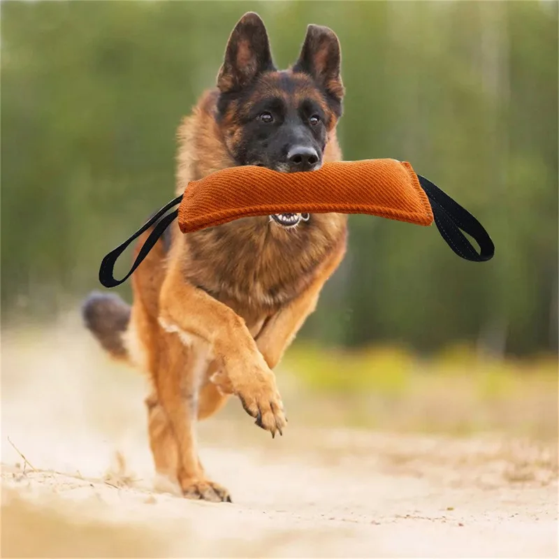 Dog-Bite-Stick-Training-Dog-Tear-Resistant-Cloth-Grip-Stick-Toy-Train ...