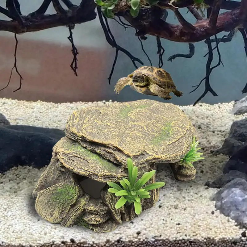 Pet Turtle Tank