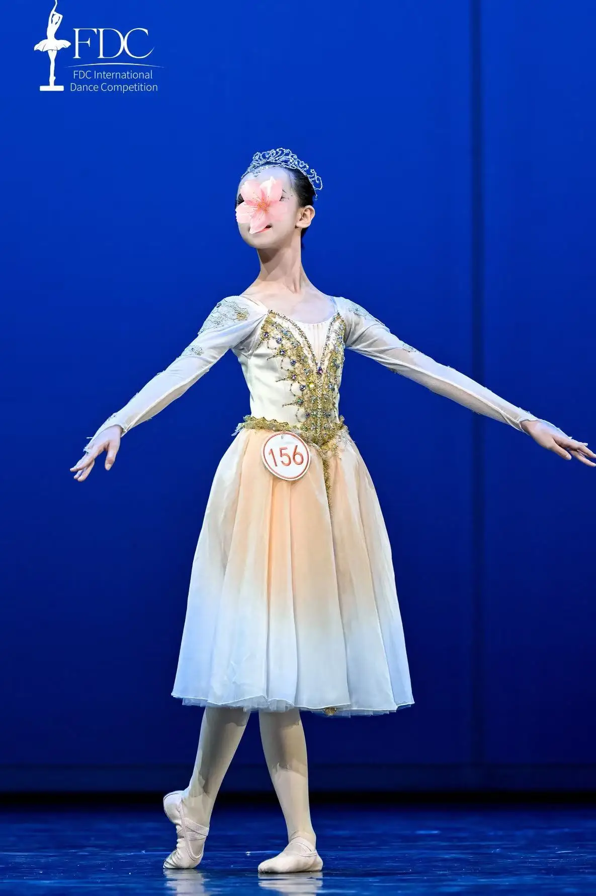 Ballet Swan Lake scene variation ballet skirt long gauze dress ...