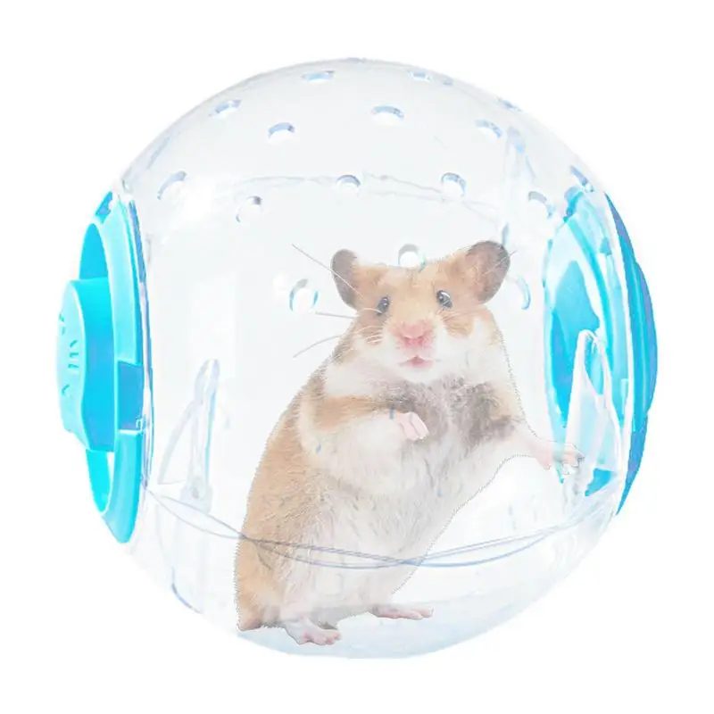 Dwarf Hamster Ball