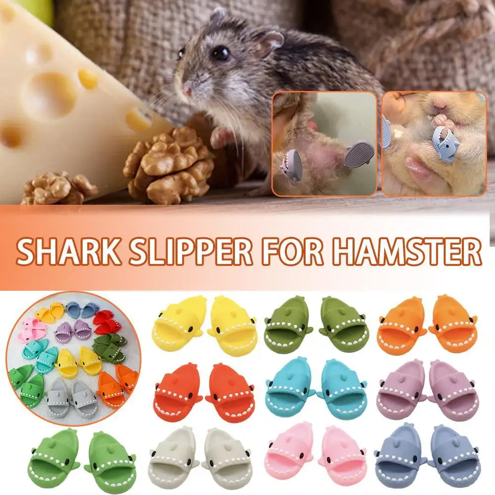 1pair-Mini-Shark-Slipper-For-Small-Pet-Hamster-Little-Turtle-Little ...