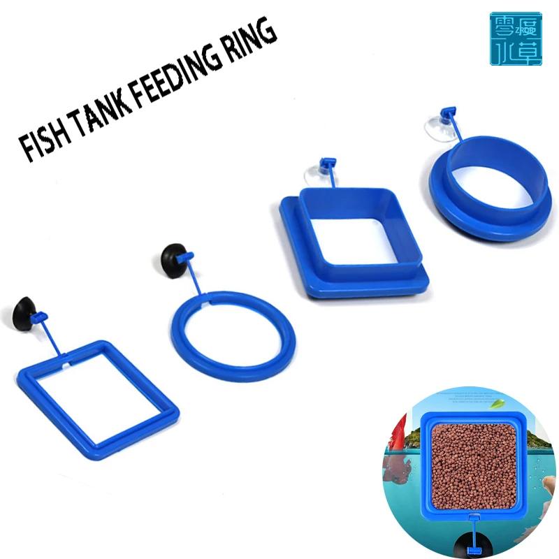 ZRDR-Aquarium-Feeding-Ring-Fish-Tank-Station-Floating-Food-Tray-Feeder ...