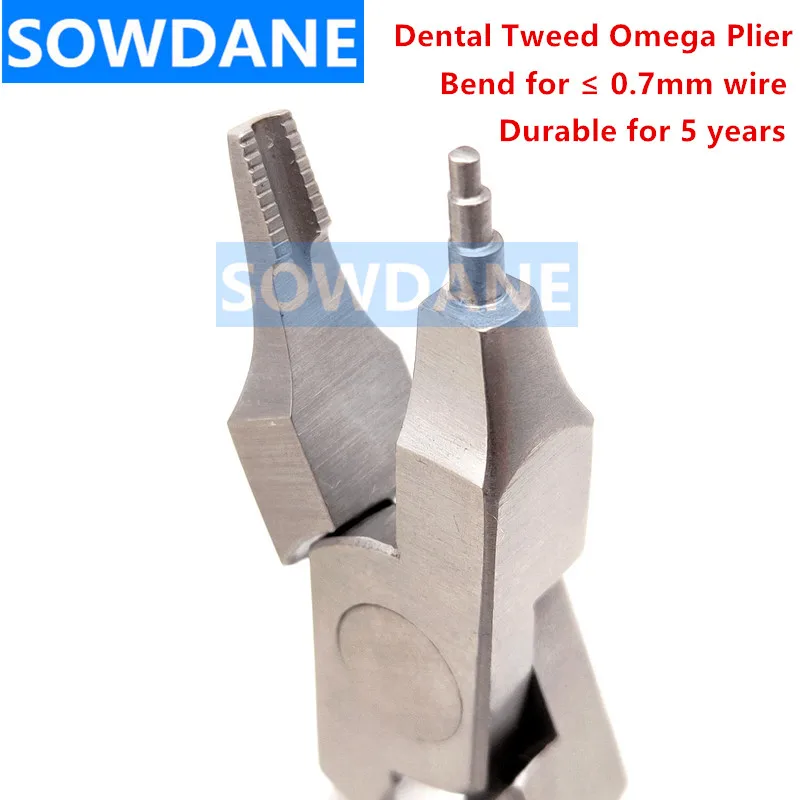Dental Orthodontic Tweed Omega Loop Bending Forming Plier Stainless ...