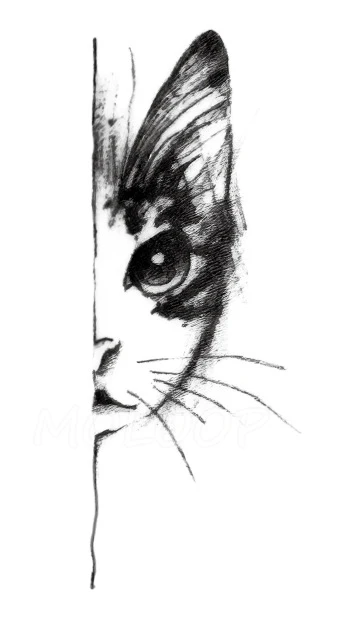 Half Cat Half Rabbit Drawing