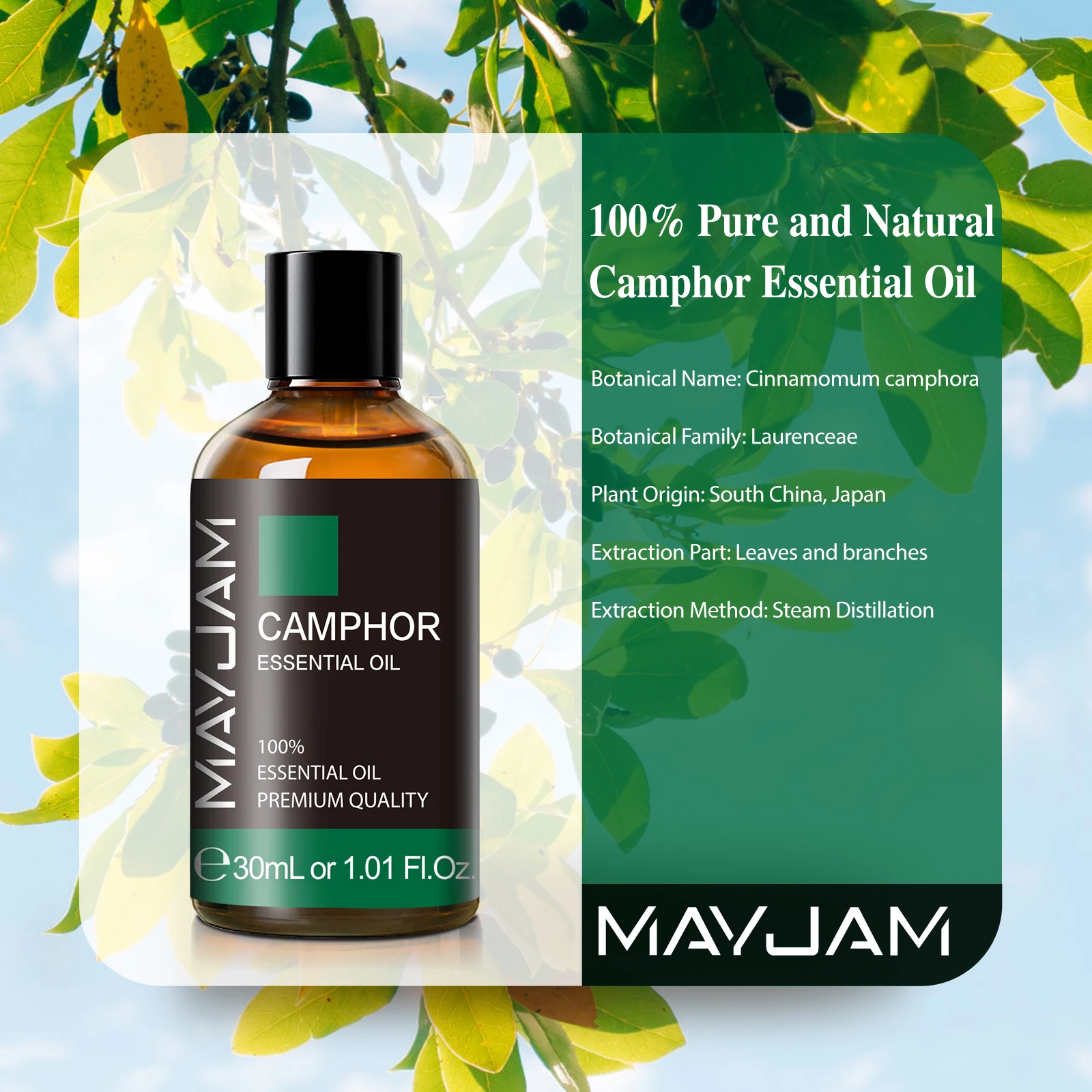 MAYJAM 30ML Pure Natural Essential Oils For Making Candles Camphor ...