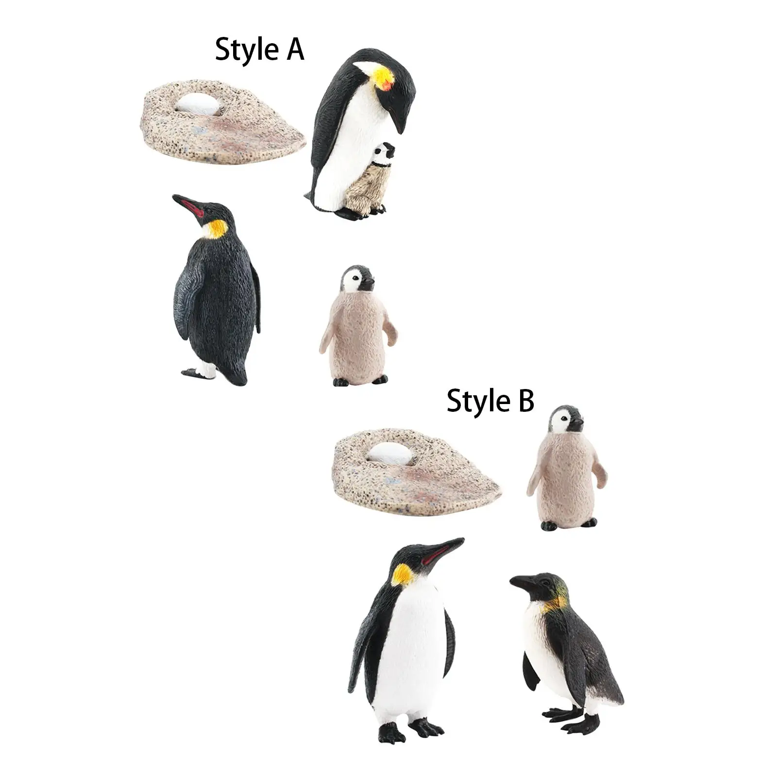 Life Cycle Of A Penguin