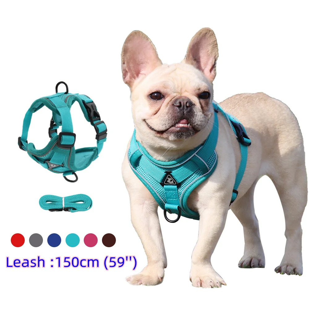SFP-et-ensemble-de-laisse-pour-petit-chien-accessoires-pour-animaux-de ...