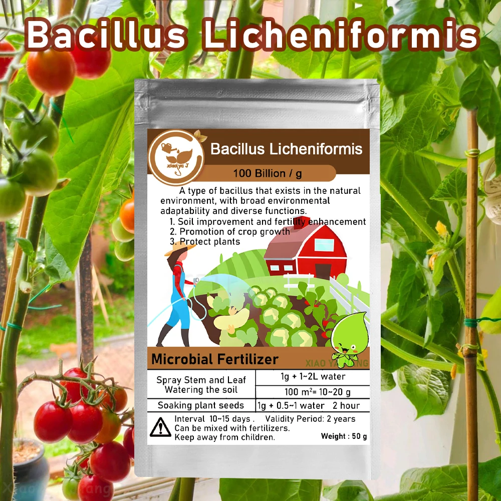 50g Bacillus Licheniformis 100 Billion Microbial Organic Fertilizer ...