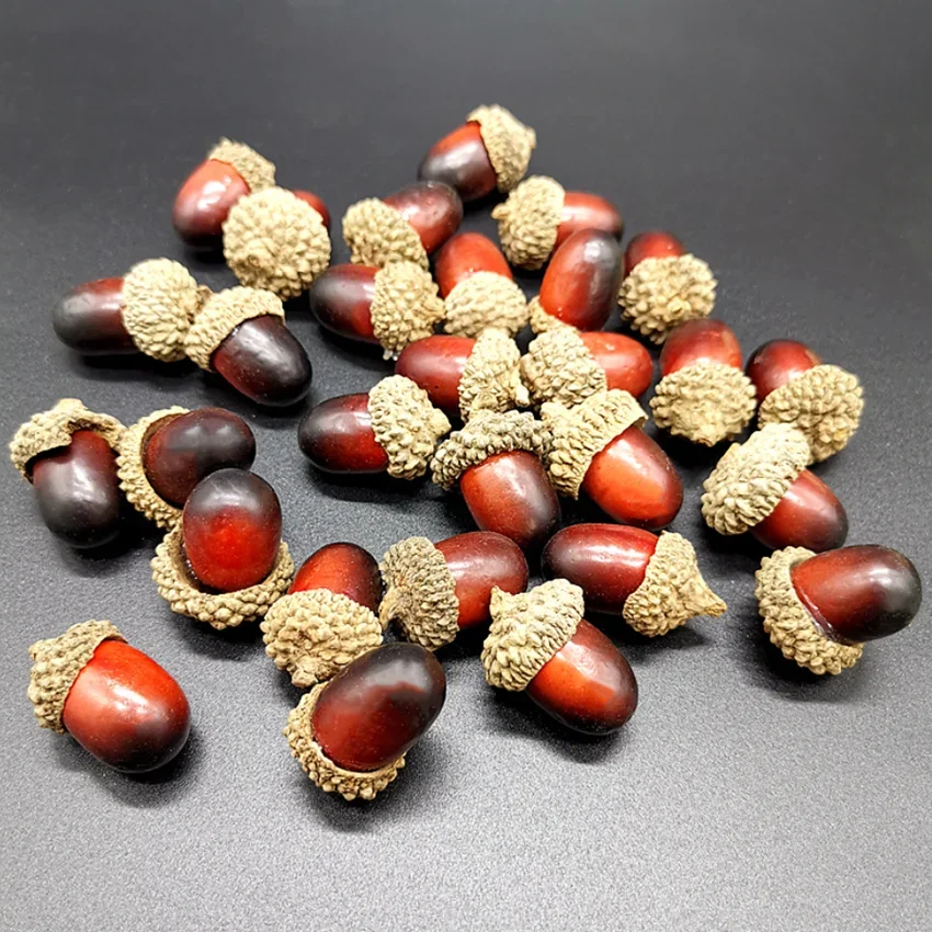 20pcs-3-3x2-3cm-Artificial-Mini-Acorns-Simulation-Small-Acorn-Plant ...